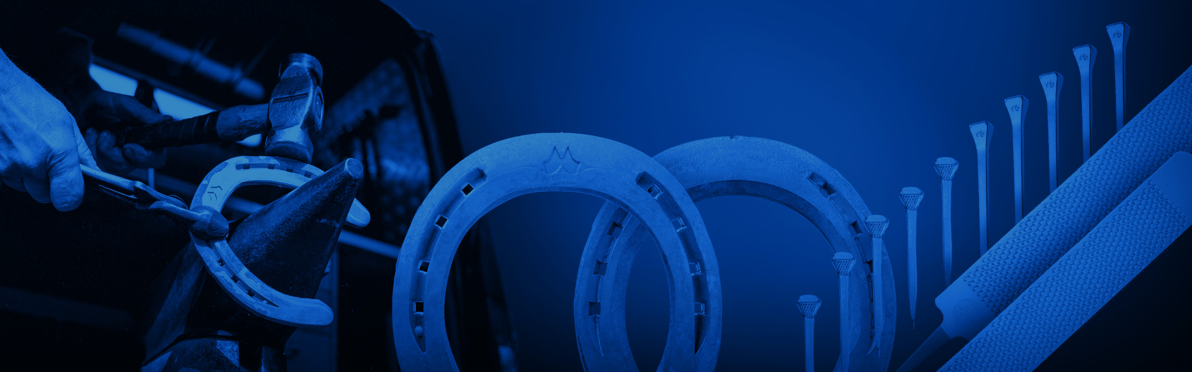 Toynak bakımında uzmanız | Mustad Hoofcare tr