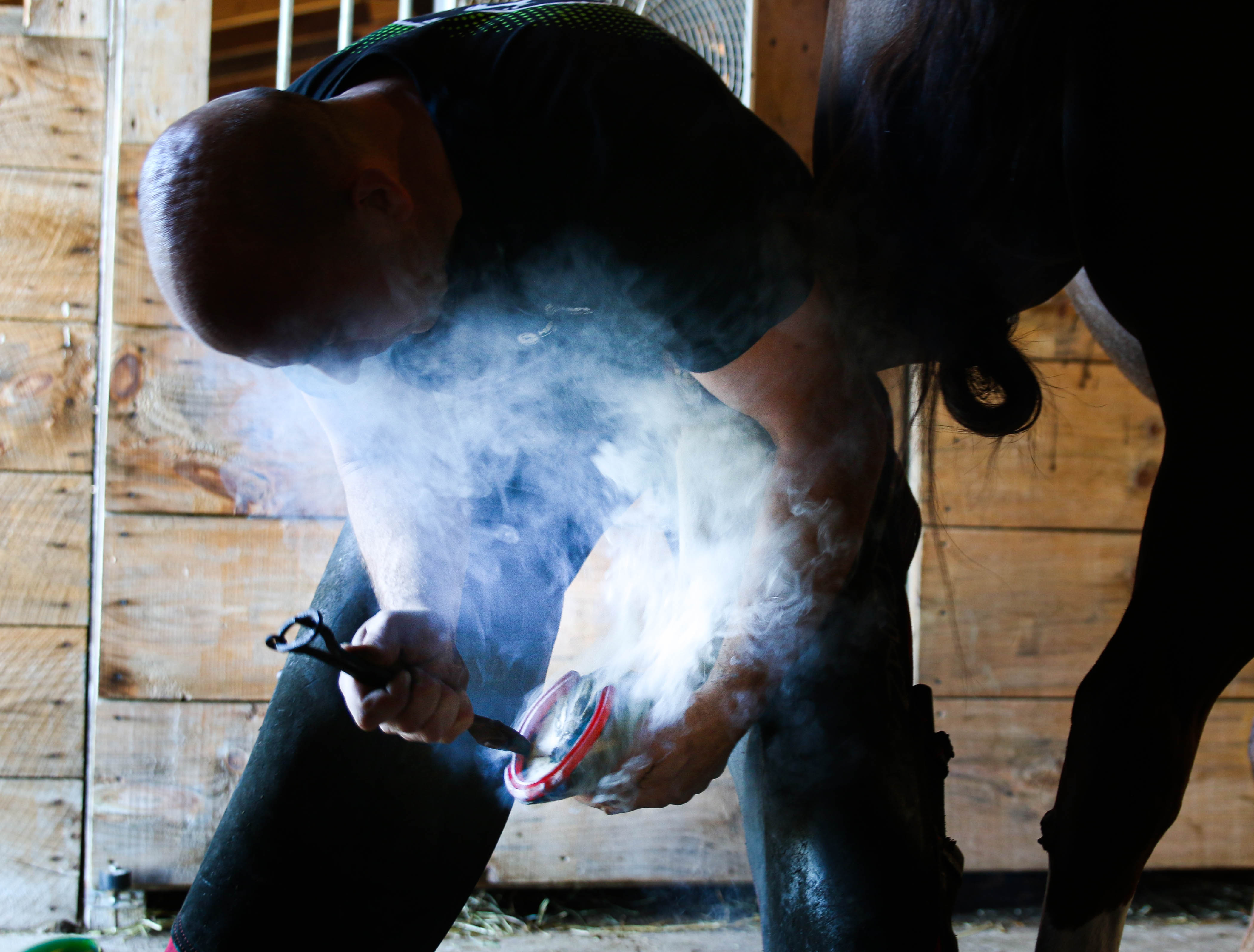 KEEPING IT SIMPLE | Mustad Hoofcare en-us