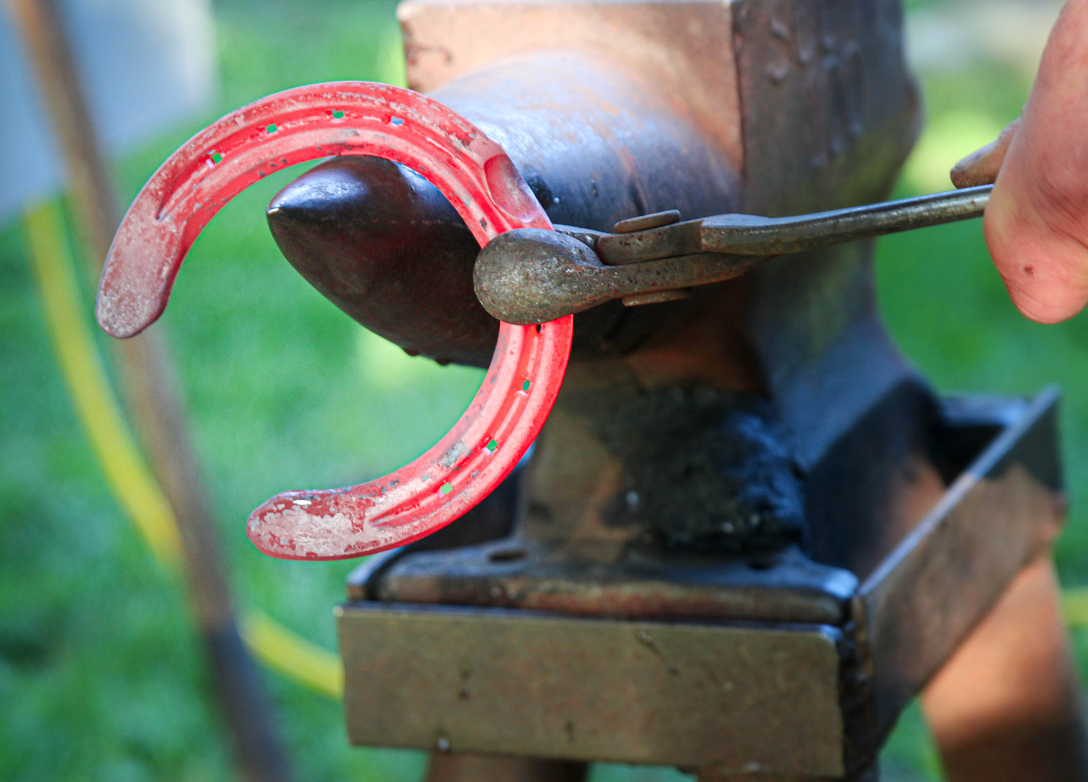 KEEPING IT SIMPLE | Mustad Hoofcare en-us