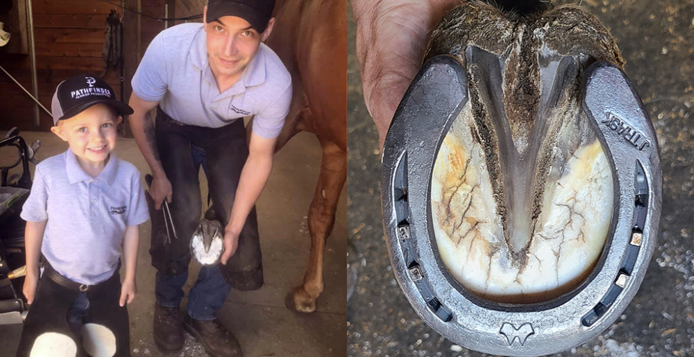 Jeff Trask, APF | Mustad Hoofcare en-us