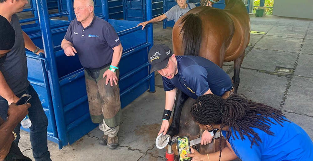 Gary Gullo Jr. | Mustad Hoofcare en-us
