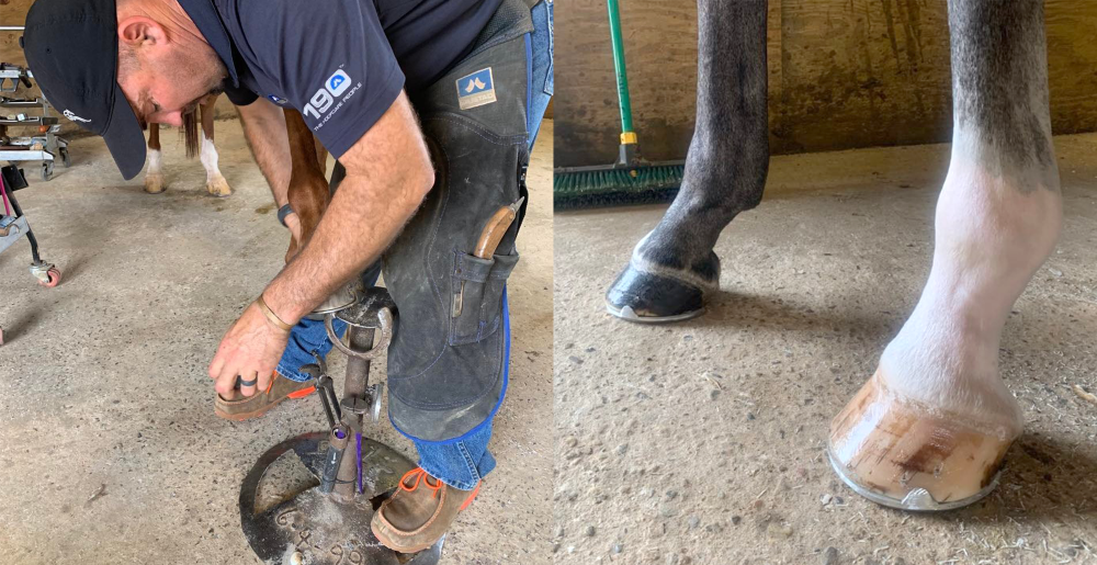 T.J. Carr, CF | Mustad Hoofcare en-us