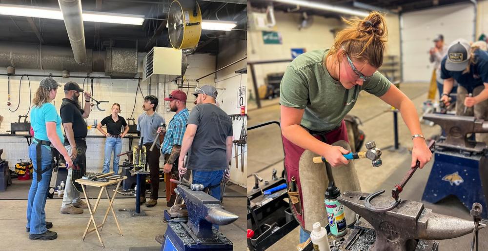 School Spotlight: Montana State University Farrier Program | Mustad ...