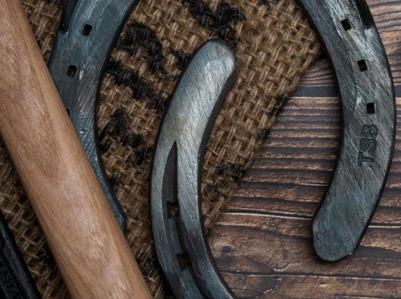 Try the TS8, EZ Plus, Eventer Plus, & Sport Front | Mustad Hoofcare en-us